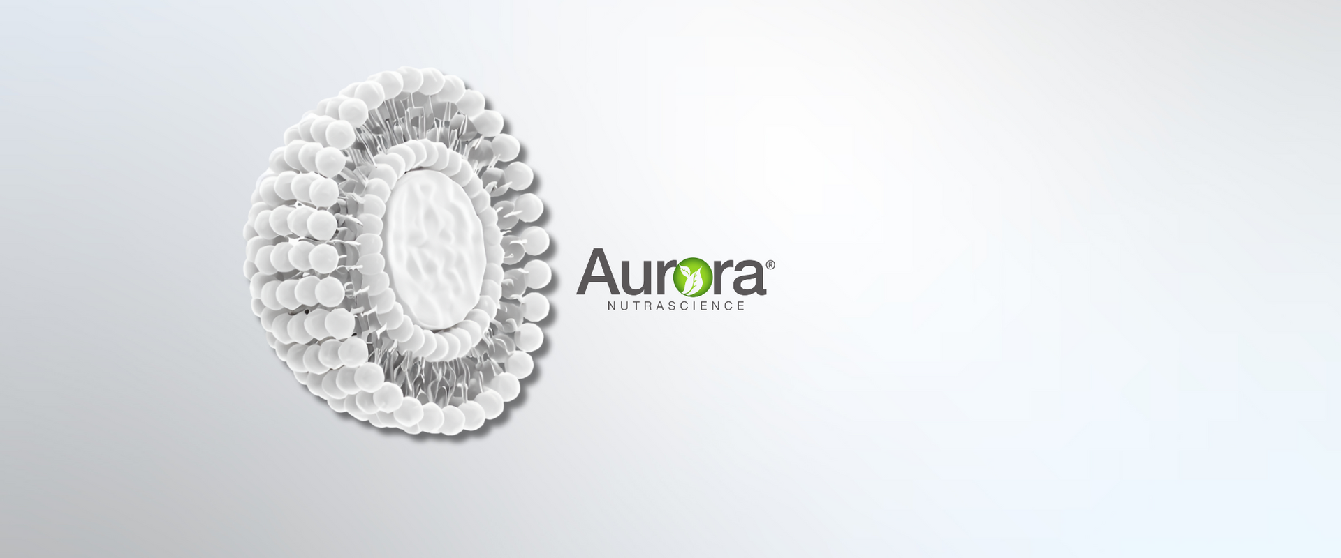 HOME | Vida Life Science – vidalifescience